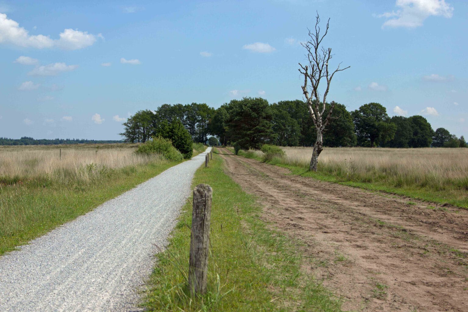 De top 5 voor Nationaal Park Dwingelderveld door Discover Dutch Nature